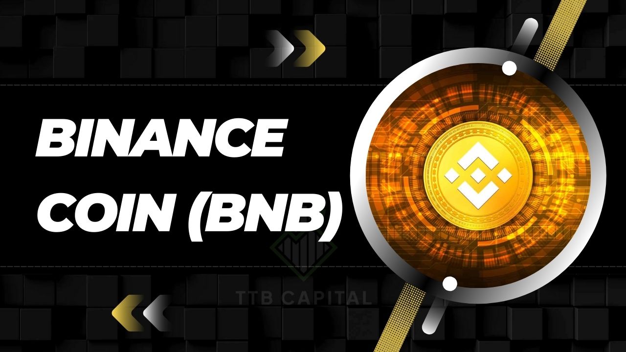 Tiểu sử và cách hoạt động của Binance Coin - TTB Capital